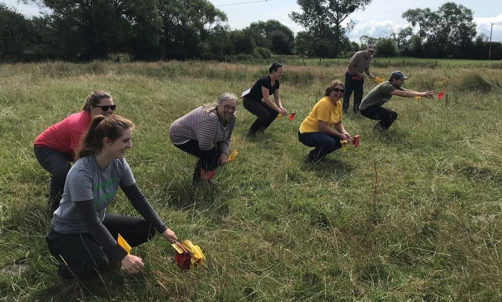 Living Levels - Archaeology on the Gwent Levels